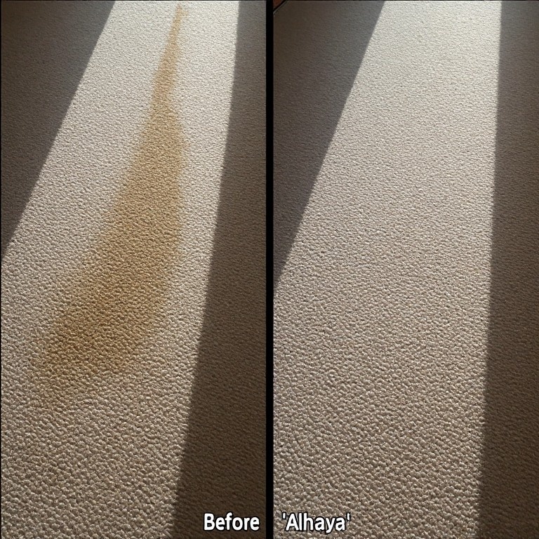 Deep Carpet Odor Removing Services Dubai | Alhaya Cleaning Services